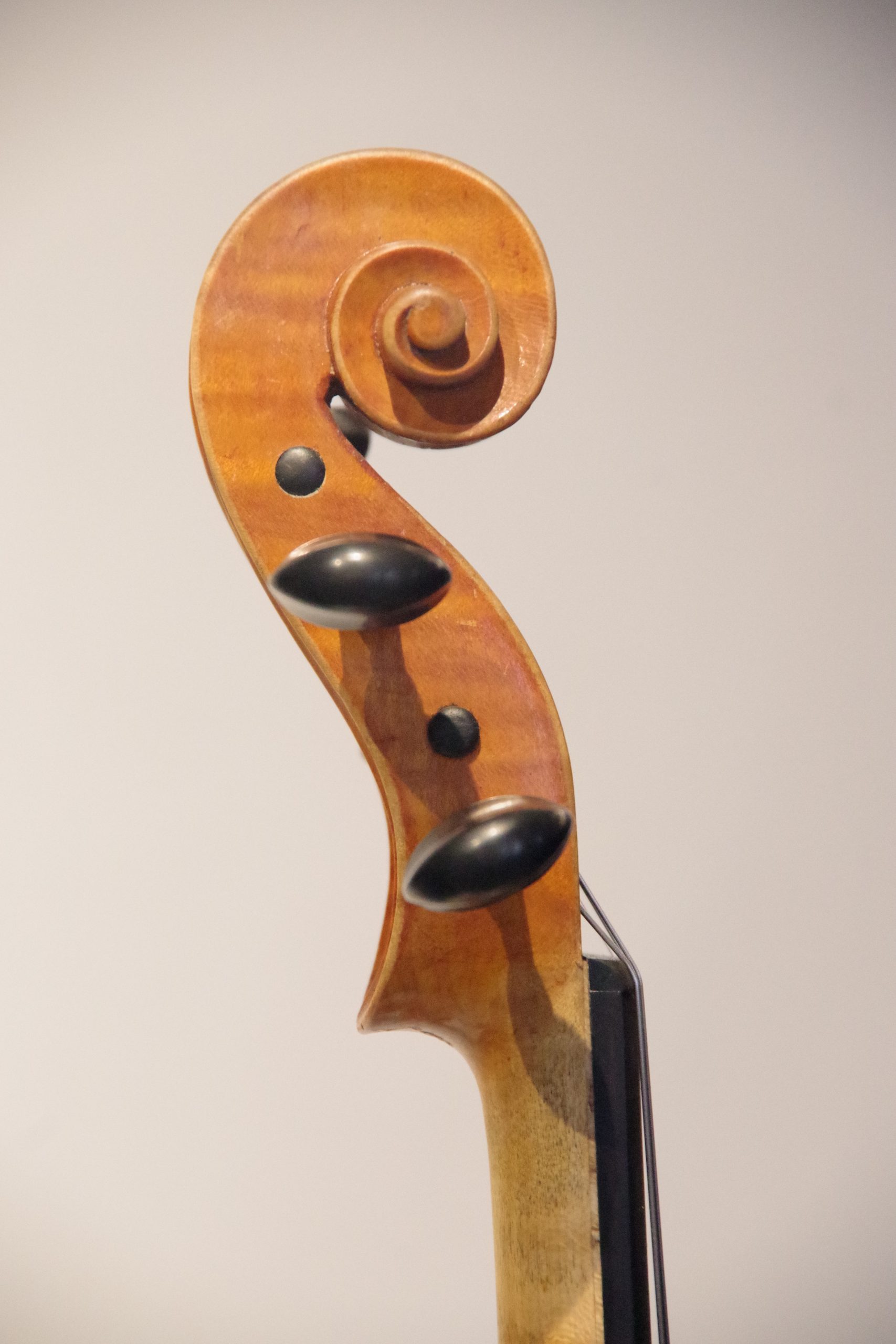 Geigen - Geigenbau Michael