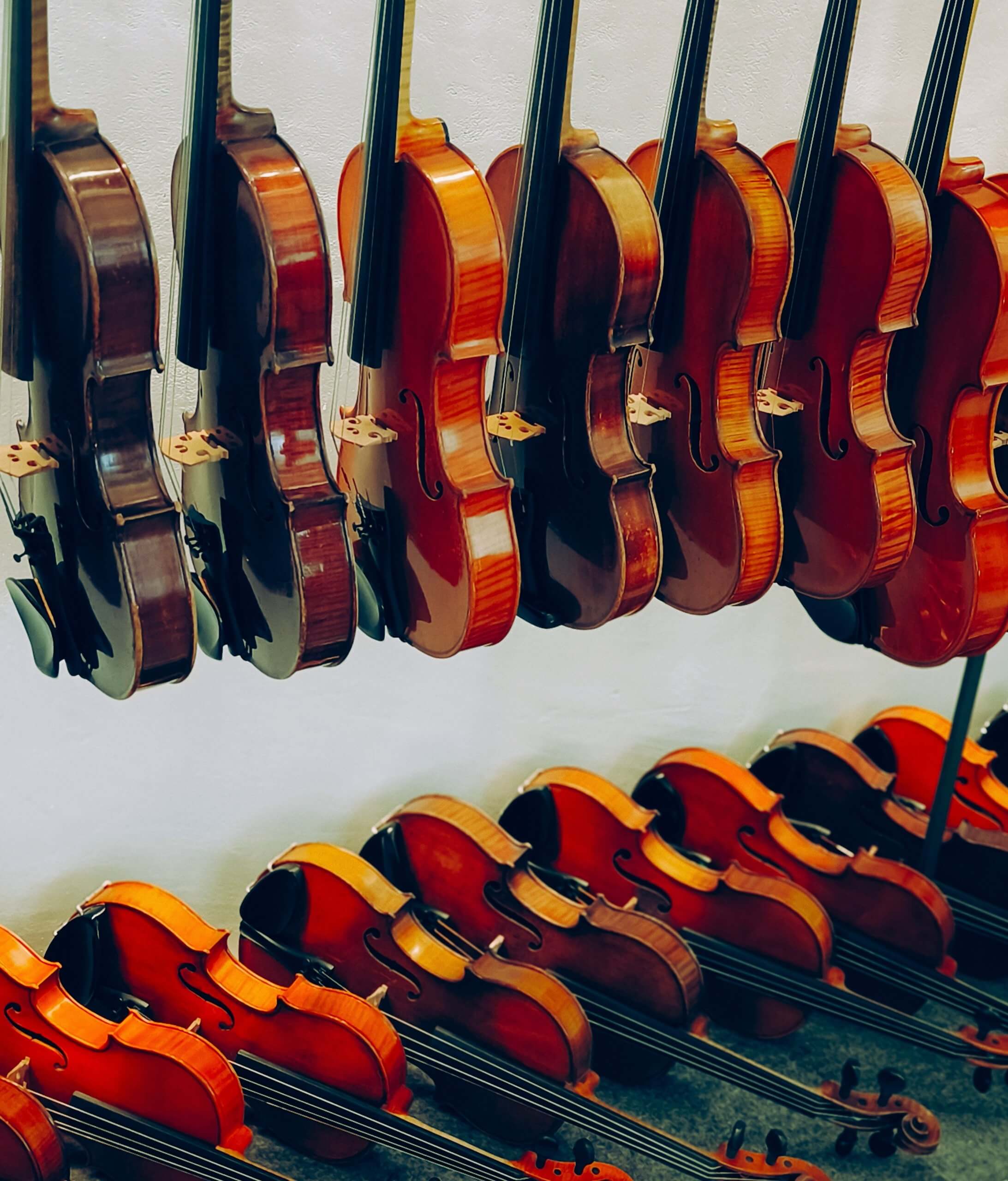 Types of String Instruments: Choosing the Right One for Your Goals ...